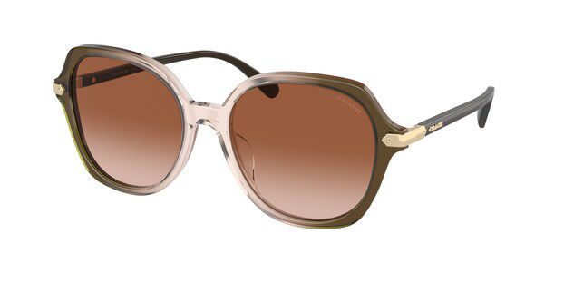Coach HC8377U 540013 – Eyeview Optometrist